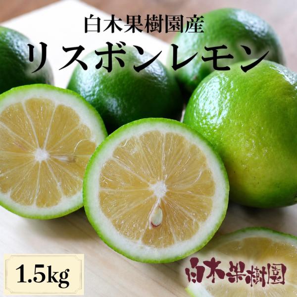 【発売日：2026年09月05日】白木果樹園で、南国高知の太陽をサンサンと浴びて育った安心の国産レモンです。残留農薬が心配される外国産と違い、皮まで安心してお使いいただけますので、お料理にドリンクにどうぞ。※栽培上最小限の農薬を使用しており...