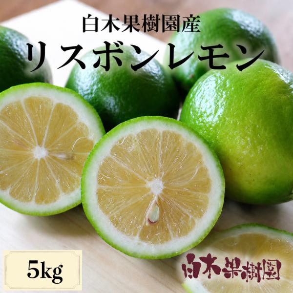 【発売日：2026年09月05日】白木果樹園で、南国高知の太陽をサンサンと浴びて育った安心の国産レモンです。残留農薬が心配される外国産と違い、皮まで安心してお使いいただけますので、お料理にドリンクにどうぞ。※栽培上最小限の農薬を使用しており...