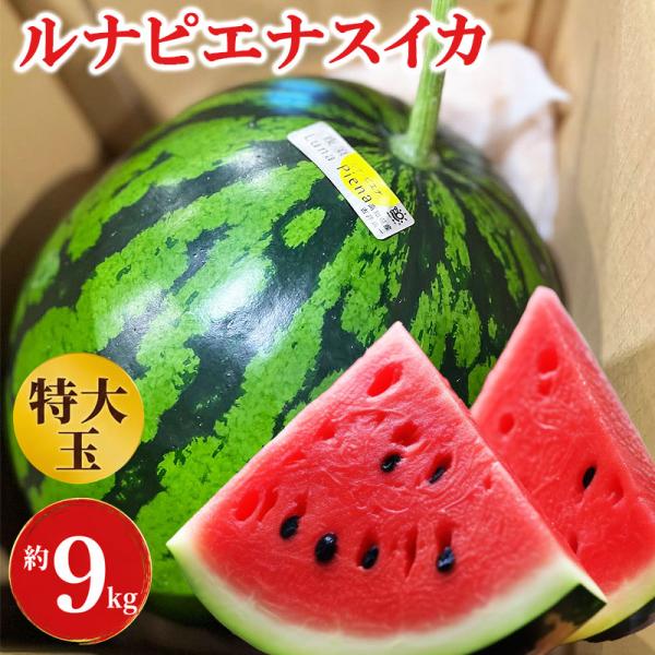 お中元にご利用で、お届け時期にご希望がある場合は備考欄にご記入ください。ご希望がない場合は、ご用意でき次第の発送でお手配致します。特大玉スイカ約9〜10kg×1個発送時期：6月中旬〜8月中旬次回発送は8月4、5日ごろとなります。※北海道・沖...
