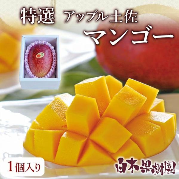 【発売日：2026年04月25日】夏ギフト早割対象外商品です・発送期間 ： 4月下旬〜7月中旬頃・アップル土佐マンゴー　特選品　3Lサイズ（400〜459ｇ）×1個入り【送料について】北海道は1,500円、沖縄は1,700円の別途遠方送料が...