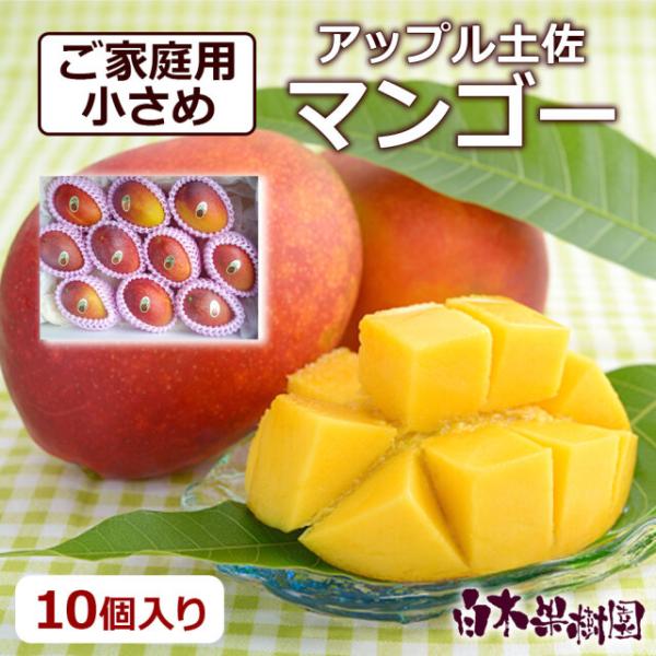 【発売日：2026年04月25日】・発送期間 ： 4月下旬〜7月中旬頃・アップル土佐マンゴー　わけあり品　10個入り【送料について】北海道は1,500円、沖縄は1,700円の別途遠方送料が必要です。