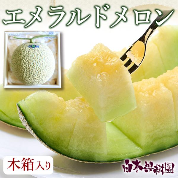 【発売日：2025年11月05日】お中元にご利用で、お届け時期にご希望がある場合は備考欄にご記入ください。ご希望がない場合は、ご用意でき次第の発送でお手配致します。・発送期間：4月〜8月上旬・10月下旬〜12月・高知県産極選エメラルドメロン...