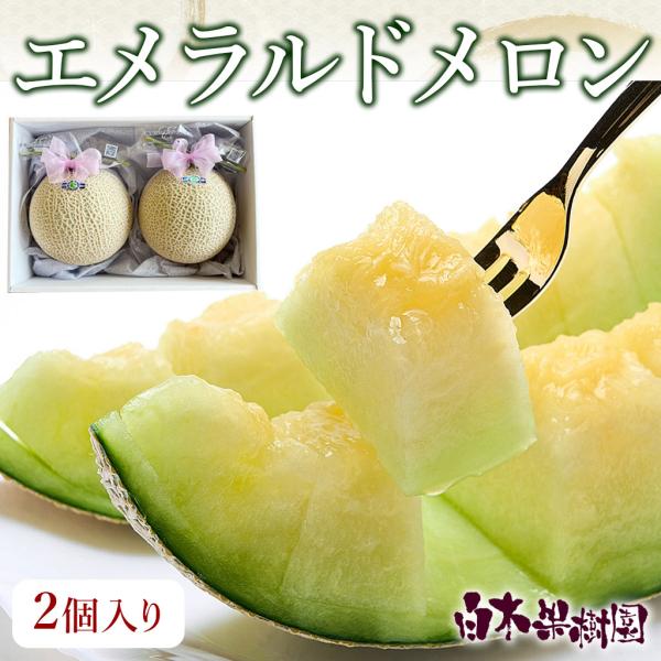 【発売日：2025年11月05日】お中元にご利用で、お届け時期にご希望がある場合は備考欄にご記入ください。ご希望がない場合は、ご用意でき次第の発送でお手配致します。・発送期間：4月〜8月上旬・12月から・高知県産極選エメラルドメロン　中玉青...