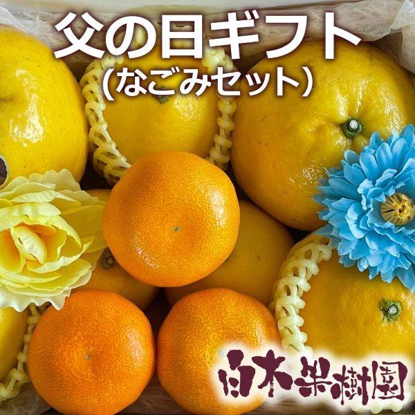 6月10日まで早期ご予約割引5％OFF通常販売価格3,500円のところ3,325円＜送料無料＞＜包装付き＞＜化粧箱入り＞・夏ぶんたん　2個・土佐小夏　5個・ハウスみかん　3個甘酸っぱい果汁が口いっぱいに広がる、夏の始まりを告げる高知の特産柑...