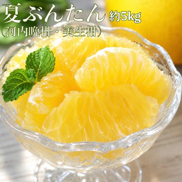 【発売日：2025年05月25日】夏ぶんたん（河内晩柑・宇和ゴールド・ジューシーオレンジとも呼ばれる柑橘）です。・発送期間　：　5月下旬〜８月中旬・内容量　　：　露地夏ぶんたん　約5kg　　（M〜２Lサイズ混合　約１0〜１4個入り）酸味のあ...