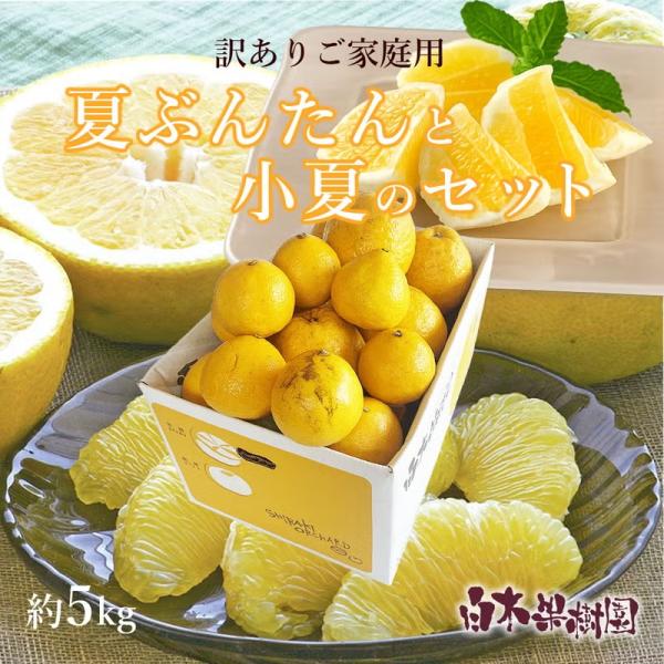 【内容】 小夏 約2.5kg、夏ぶんたん 約2.5kg　計５kg発送期間：7月下旬〜8月上旬 果汁あふれる夏ぶんたんと、爽やかな香りとやさしい甘酸っぱさが魅力の小夏を詰め合わせた、ご家庭用のお得なセットです。旬の柑橘が少なくなる季節にも、2...