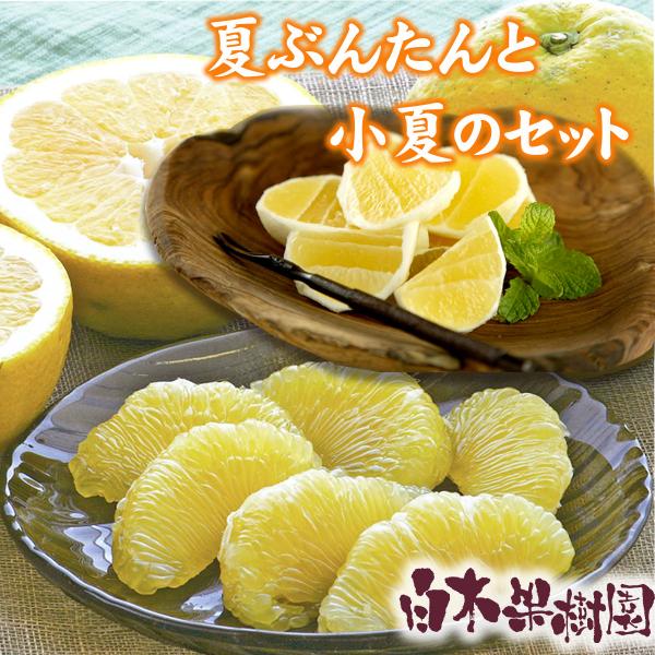 【発売日：2026年05月25日】・発送期間　：　5月下旬〜・夏ぶんたん×4~5個　土佐小夏M〜Lサイズ×8〜12個※北海道・沖縄へのお届けは別途送料となります。　北海道は1,500円、沖縄は1,700円を、ご注文後に加算させていただきます...