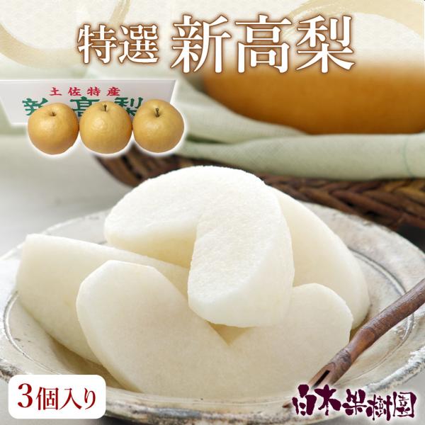【発売日：2026年09月25日】・発送期間：9月下旬〜10月下旬・高知県産特選秀品新高梨　約1.2kg×3個高知県の恵まれた気候風土が育んだ新高梨。中でも選りすぐりの超特大サイズ、1玉約1.2kgという圧巻の大きさを3個お届けします。10...