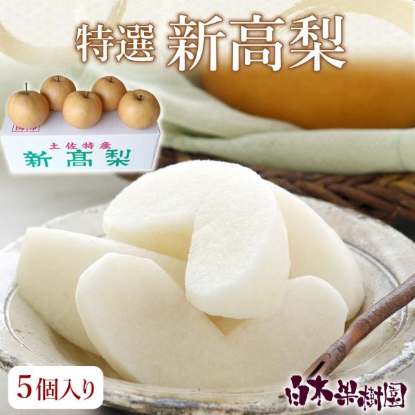 【発売日：2026年09月25日】・発送期間：9月下旬〜10月下旬・高知県産特選秀品新高梨　約800g×5個高知県の恵まれた気候風土が育んだ新高梨。厳選された大玉サイズ、1玉約800gという食べ応えのある梨を5個お届けします。手に取ればずっ...