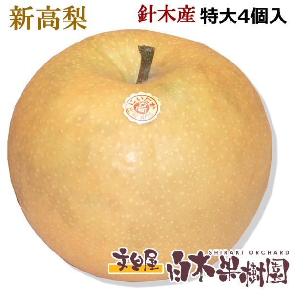 【発売日：2026年09月25日】【内容】高知県産特選秀品 新高梨　特大4個入り　約1kg×4個【発送期間】9月下旬〜10月下旬高知県産の新高梨から、特に大きく形・見た目の美しいものを厳選した特選秀品です。ひと玉約1kgにもなる特大サイズで...