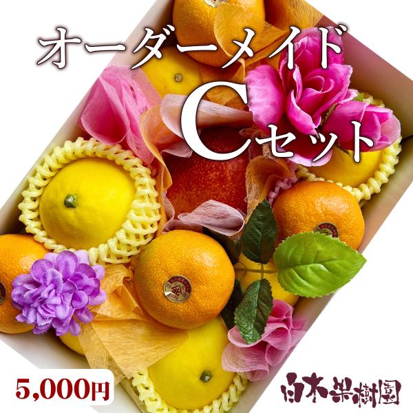 1月13日以降の発送でご用意させていただきますお客様のご予算内で、あなた様だけのオリジナルセットができます。ご予算や用途に合わせて、厳選したセレクト品をご用意致します。セット内容にご希望がある場合は備考欄にご記入ください。 発送時期により、...