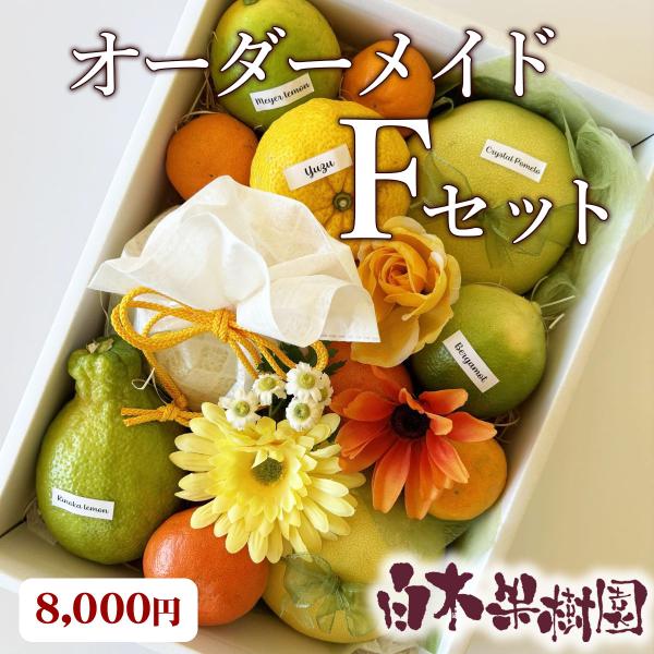 1月13日以降の発送でご用意させていただきますお客様のご予算内で、あなた様だけのオリジナルセットができます。ご予算や用途に合わせて、厳選したセレクト品をご用意致します。セット内容にご希望がある場合は備考欄にご記入ください。 発送時期により、...