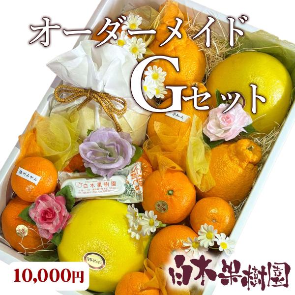 1月13日以降の発送でご用意させていただきますお客様のご予算内で、あなた様だけのオリジナルセットができます。ご予算や用途に合わせて、厳選したセレクト品をご用意致します。セット内容にご希望がある場合は備考欄にご記入ください。 発送時期により、...