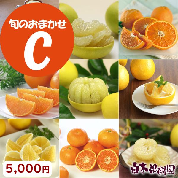 1月13日以降の発送でご用意させていただきます・セット内容はおまかせください（画像はイメージです。その時々によって内容が違います）・ご用意させていただく時の旬の果物や大きさによって個数は違ってきますが、5,000円は2〜3人用のイメージです...