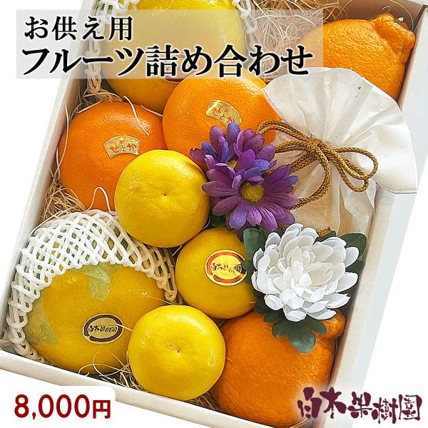 1月13日以降の発送でご用意させていただきますお供え用のフルーツ詰め合わせ。季節の旬を詰め合わせた、果実の見た目・味ともに上質な逸品。ご予算や用途に合わせて選んでいただけます。熨斗は自由にお選びいただけます。旬の新鮮なフルーツを詰め合わせし...