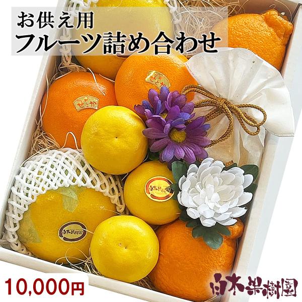 1月13日以降の発送でご用意させていただきますお供え用のフルーツ詰め合わせ。季節の旬を詰め合わせた、果実の見た目・味ともに上質な逸品。ご予算や用途に合わせて選んでいただけます。熨斗は自由にお選びいただけます。旬の新鮮なフルーツを詰め合わせし...