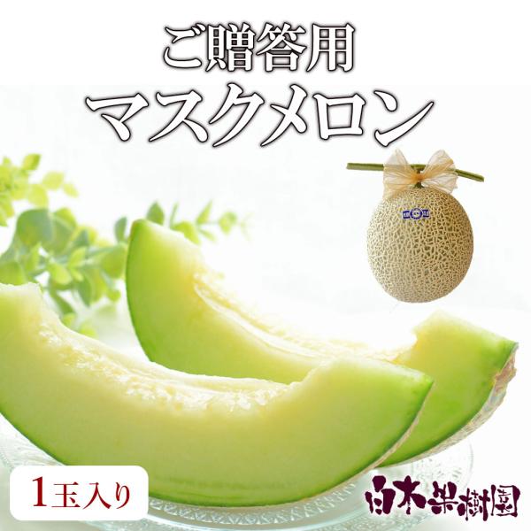 マスクメロン　ご贈答用秀品　高知県産　約1.6kg〜2.3kg×2玉入り・発送時期：5月中旬〜8月上旬※ ご用意までに4〜7日ほどお時間をいただく場合がございます。ご贈答用秀品です。高知の陽ざしをたっぷり浴びて育った、香り豊かで甘みたっぷり...