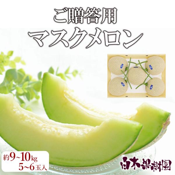 マスクメロン　高知県産・発送時期：5月中旬〜8月上旬・高知県産マスクメロン　5~6玉　　※ご用意までに4〜7日ほどお時間をいただく場合がございます※ギフト包装対象外の商品です。ご贈答用秀品です。高知の陽ざしをたっぷり浴びて育った、香り豊かで...