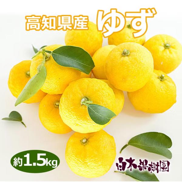 【発売日：2026年11月15日】【内容量】約1.5kg【発送期間】11月中旬〜11月下旬高知県は、ゆずの全国収穫量の約半分を占める、日本一の産地です。緑色果皮の柚子をお届けします。農薬をほとんど使用していないので、傷があったり見ためはあま...