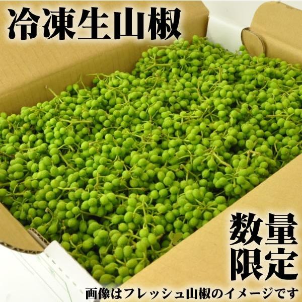 フレッシュ さんしょ/実山椒/青山椒/生山椒さんしょうを産地直送で/和歌山県産【冷凍】サンショ500g