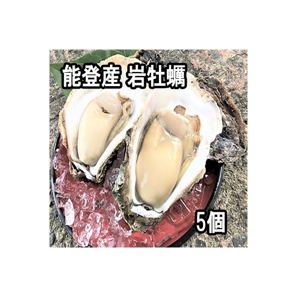 【内容量】能登産 岩牡蠣（生食用）5個（350g〜500g/1個）（牡蠣ナイフ、片手用軍手付）※重さの表記についてですが、殻も含めた重さとなります。 水揚げ直後に計測を行っているため、重さが多少前後する場合もございます。【賞費期限】発送日か...