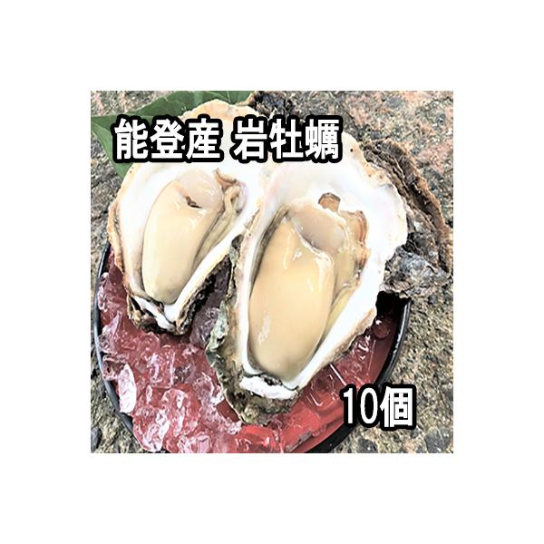 【内容量】能登産 岩牡蠣（生食用）10個（350g〜500g/1個）（牡蠣ナイフ、片手用軍手付）※重さの表記についてですが、殻も含めた重さとなります。 水揚げ直後に計測を行っているため、重さが多少前後する場合もございます。【賞費期限】発送日...