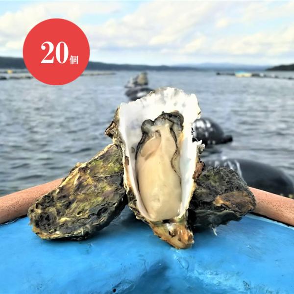 【商品規格】（採取海域）石川県七尾市西湾海域（生食の可否）加熱調理用※加熱調理用の牡蠣です。中心温度85度以上で1分以上加熱を目安に、調理してお召し上がりください。【内容量】殻付能登かき（20個、約2kg）※専用ナイフ、片手用軍手付き。【賞...