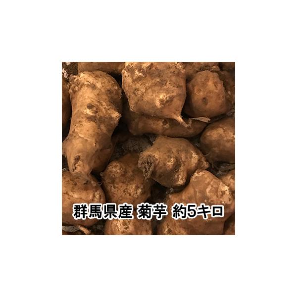 群馬県産菊芋 約5キロ菊芋の調理法●生でも食べられるので、サラダや和え物などではシャキシャキとした食感を楽しめます。●皮が薄いので皮付きのままでも食べられます。●チップスはフライパンで軽く煎ってから急須に入れてお湯を注げば、キクイモ茶になり...