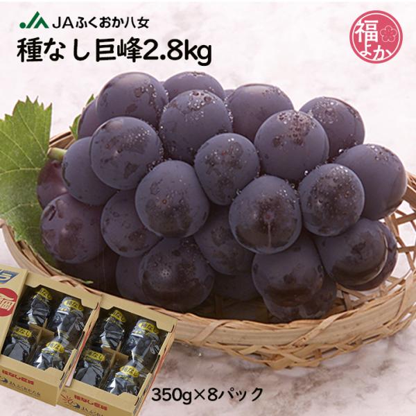 【発売日：2026年07月01日】日本で初めて福岡県が栽培に成功した巨峰。”ぶどうの王様”と呼ばれるほどの、食べ応えある大きさと、キレのいい甘味が特徴です。なかでも温暖な気候と清流に恵まれた八女は、環境はもちろん、土づくりからひと房一房愛情...