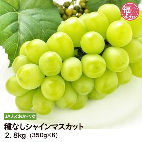 【発売日：2026年08月03日】ぶどうの中でも特別甘くて、香りが爽やかと、年々人気が高まっているシャインマスカット。福岡県のフルーツ産地・八女地域の産直がいよいよスタートしました。JAふくおか八女では、糖度18以上、酸度0.6％以下のもの...