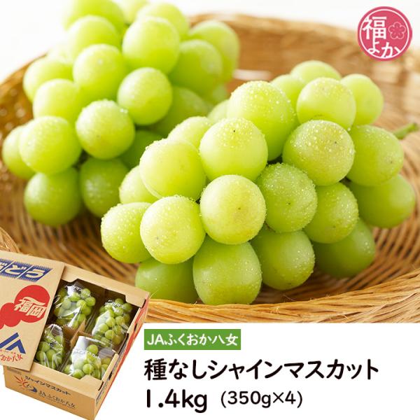 【発売日：2026年07月29日】ぶどうの中でも特別甘くて、香りが爽やかと、年々人気が高まっているシャインマスカット。JAふくおか八女では、糖度18以上、酸度0.6％以下のものだけを厳選。果皮が薄くて柔らかく、種もないので皮ごと食べられると...