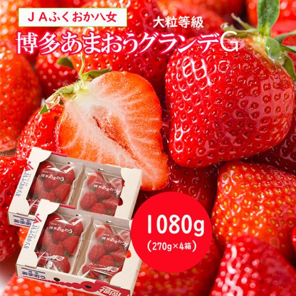 【発売日：2025年12月01日】あかい！ まるい！ おおきい！ うまい！4拍子揃った福岡県のブランド苺「あまおう」。濃い甘味のなかに、ほのかな酸味がバランスよく調和していることや食べ応えのある大きさ、艶のある赤い色がケーキなどにも映えると...
