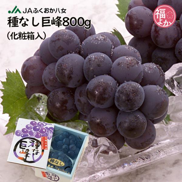 【発売日：2025年07月01日】日本で初めて福岡県が栽培に成功した巨峰。”ぶどうの王様”と呼ばれるほどの、食べ応えある大きさと、キレのいい甘味が特徴です。なかでも温暖な気候と清流に恵まれた八女は、環境はもちろん、土づくりから一房ひと房愛情...