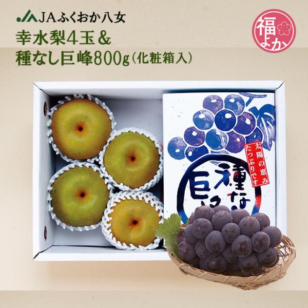 【発売日：2026年07月17日】福岡県の美味しいフルーツをセットにしました。甘さの中にほどよい酸味があり、果汁も豊富な幸水梨。JAふくおか八女では、光センサーにより糖度だけでなく熟度もチェック。甘みが乗り、梨特有のシャリシャリとしてジュー...