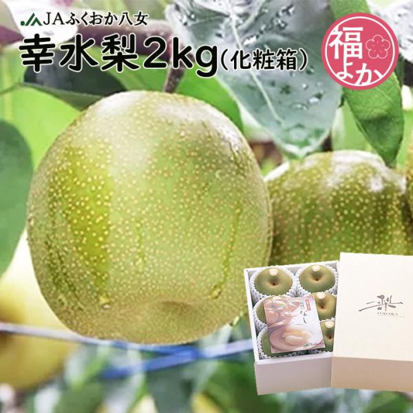 【発売日：2026年07月17日】甘さの中にほどよい酸味があり、果汁も豊富な幸水梨。JAふくおか八女では、光センサーにより糖度だけでなく熟度もチェック。甘みが乗り、梨特有のシャリシャリとしてジューシーなものを厳選しています。また、栽培履歴の...