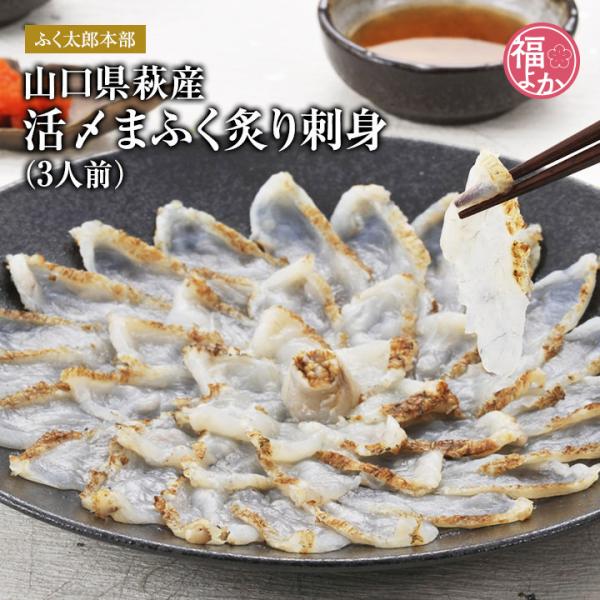 最高級魚であるトラフグよりも、強い甘味があると言われるマフグ。山口県萩沖で水揚げされた活天然マフグの身を表面だけ強火でサッと炙り、旨味と新鮮さを閉じ込め、熟練の職人が丁寧に刺身に仕上げました。外側は香ばしく、内側は透明感があり生の食感が楽し...