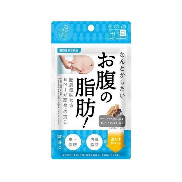 気になるお腹の脂肪に！腹部のつかめる皮下脂肪、ポッコリしたお腹(内臓脂肪)が気になる方に。