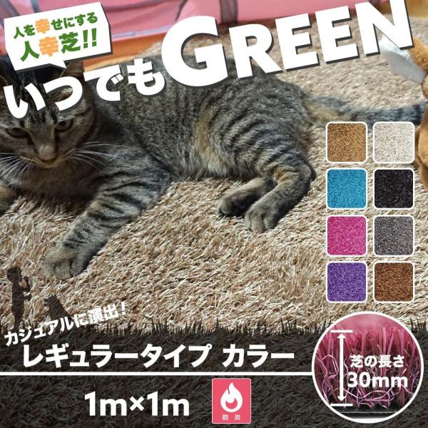 お手入れ不要！枯れる心配なし！屋内でもおしゃれなカラータイプ！クッション性が高い人工芝はさみ等でカットでき施工も簡単。雑草対策にも。■商品名：いつでもGreen レギュラータイプ カラー 30mm■カラー：ホワイト ブラック グレー カフェ...