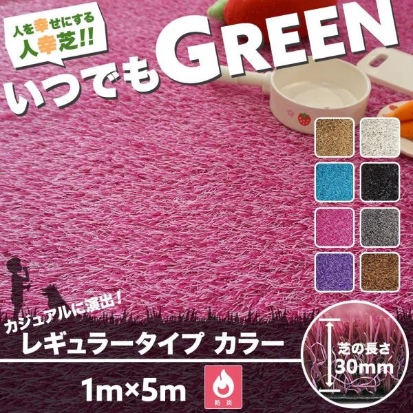 お手入れ不要！枯れる心配なし！屋内でもおしゃれなカラータイプ！クッション性が高い人工芝はさみ等でカットでき施工も簡単。雑草対策にも。■商品名：いつでもGreen レギュラータイプ 30mm カラー■カラー：ホワイト ブラック グレー カフェ...