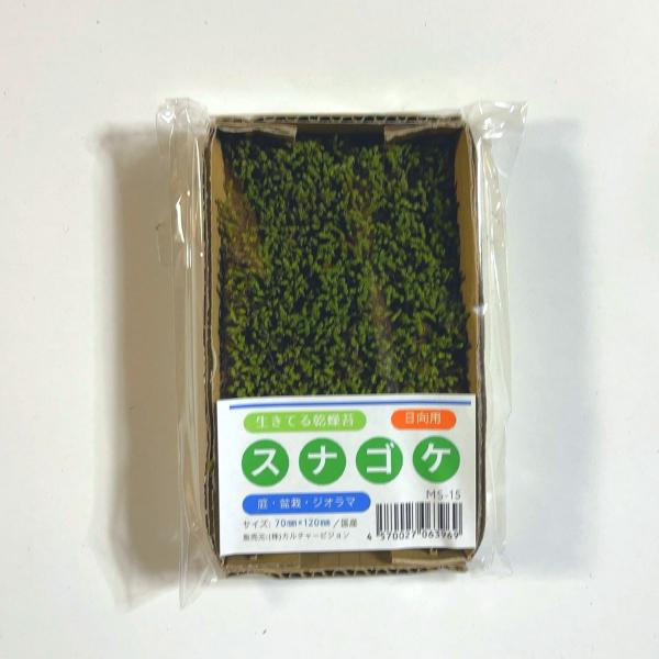 ●日向用の苔です●日光や乾燥に強い苔です●スナゴケは乾燥しても仮死状態になり水を与えれば再生します●乾燥状態でお届けいたします●壁面緑化、庭園（造園）や盆栽・ジオラマ等に適しています●庭に植付ける場合は、水溜まりができないように、排水性が良...