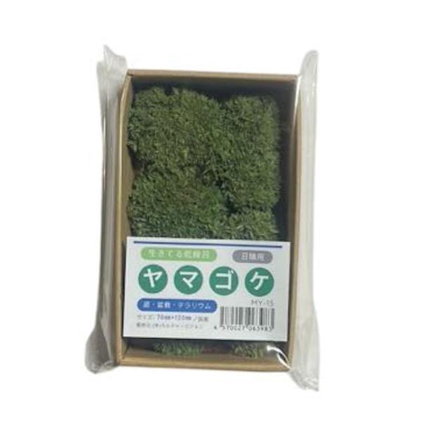 身近に緑を増やしてSDGSを推進。耕作放棄地を活用した栽培苔です。水をかけるだけで生き返る「乾燥苔」をお楽しみください。●半日陰〜日陰用の苔です●乾燥状態でお届けいたします●庭園（造園）・盆栽・ジオラマ等に適しています●こんもりとした愛らし...