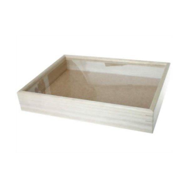 ●信頼のブランド、志賀昆虫社（シガコン）の最高級標本箱●高級素材である桐を、熟練した職人の手で一つ一つ丁寧に作り上げた、昆虫の標本マニアならば一度は手にして見たい一品●ビンテージ物の時計やサングラスなど、標本箱ですが大人の高級コレクターズボ...