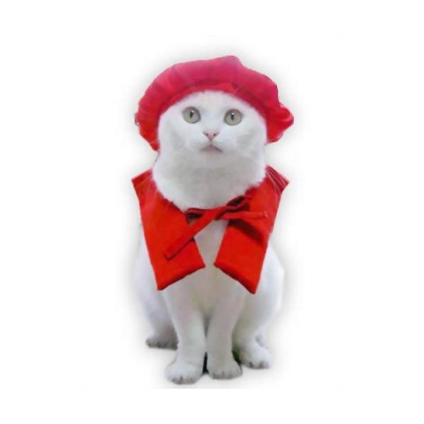 「ビバ還暦だにゃん」は、赤いシルクサテンのチャンチャンコと帽子がセットになった猫服・コスプレです。帽子はヒモでサイズ調整できるので頭にふんわり乗せてください。チャンチャンコは頭からかぶせるだけなので着脱簡単。おしゃれクラスは上級者（首や頭に...