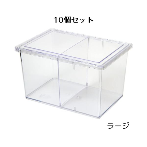 クリアースライダーは本体・蓋・ストッパー・セパレータ全てスチロール樹脂製です。上下透明で、通気口も外周部分にしかないので中の生物を上からも観察し易くなっています。スライド式の蓋の為上下が隙間なくきっちり閉まるので、コバエの侵入も防ぎます。セ...