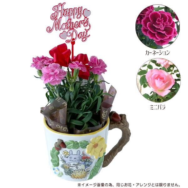 【発売日：2026年04月28日】人気のプランターカバーに「生花(3〜3.5号の苗)」をセットし、母の日アレンジをしてお届け♪お花は「ミニバラ」又は「カーネーション」からお選び下さい。色のご指定は頂けません。母の日アレンジでのお届け。（画像...