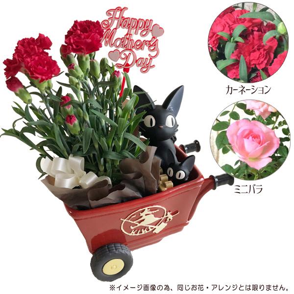 【発売日：2026年04月28日】人気のプランターカバーに「生花(3〜3.5号の苗)」をセットし、母の日アレンジをしてお届け♪お花は「ミニバラ」又は「カーネーション」からお選び下さい。色のご指定は頂けません。母の日アレンジでのお届けいたしま...