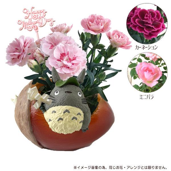 【発売日：2026年04月28日】プランターカバーに「生花(3〜3.5号の苗)」をセットし、母の日アレンジをしてお届け♪お花は「ミニバラ」又は「カーネーション」からお選び下さい。色のご指定は頂けません。母の日アレンジでのお届けいたします。（...