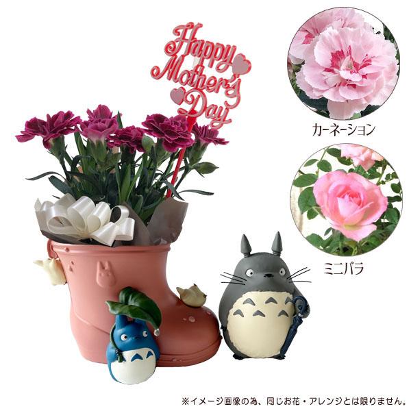 【発売日：2026年04月28日】ジオラマボックスに「生花(3〜3.5号の苗)」をセットし、母の日アレンジをしてお届け♪お花は「ミニバラ」又は「カーネーション」からお選び下さい。色のご指定は頂けません。母の日アレンジでのお届けいたします。（...