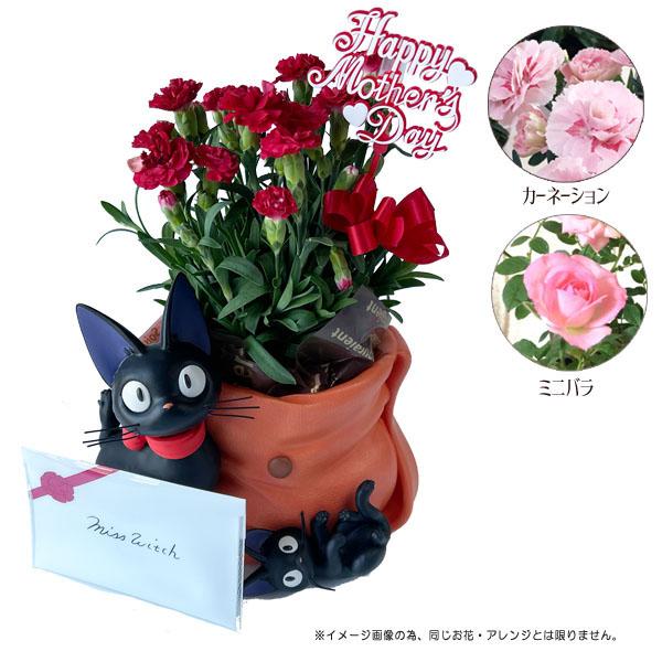 【発売日：2026年04月28日】人気のプランターカバーに「生花(3〜3.5号の苗)」をセットし、母の日アレンジをしてお届け♪お花は「ミニバラ」又は「カーネーション」からお選び下さい。色のご指定は頂けません。母の日アレンジでのお届けいたしま...