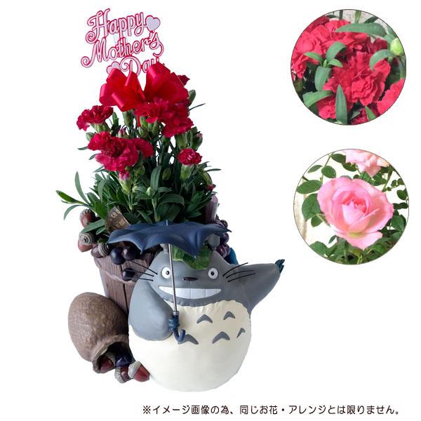 【発売日：2026年04月28日】ジオラマボックスに「生花(3〜3.5号の苗)」をセットし、母の日アレンジをしてお届け♪お花は「ミニバラ」又は「カーネーション」からお選び下さい。色のご指定は頂けません。母の日アレンジでのお届けいたします。（...